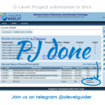 O Level Project Guide: Submission, Topics, and Tips