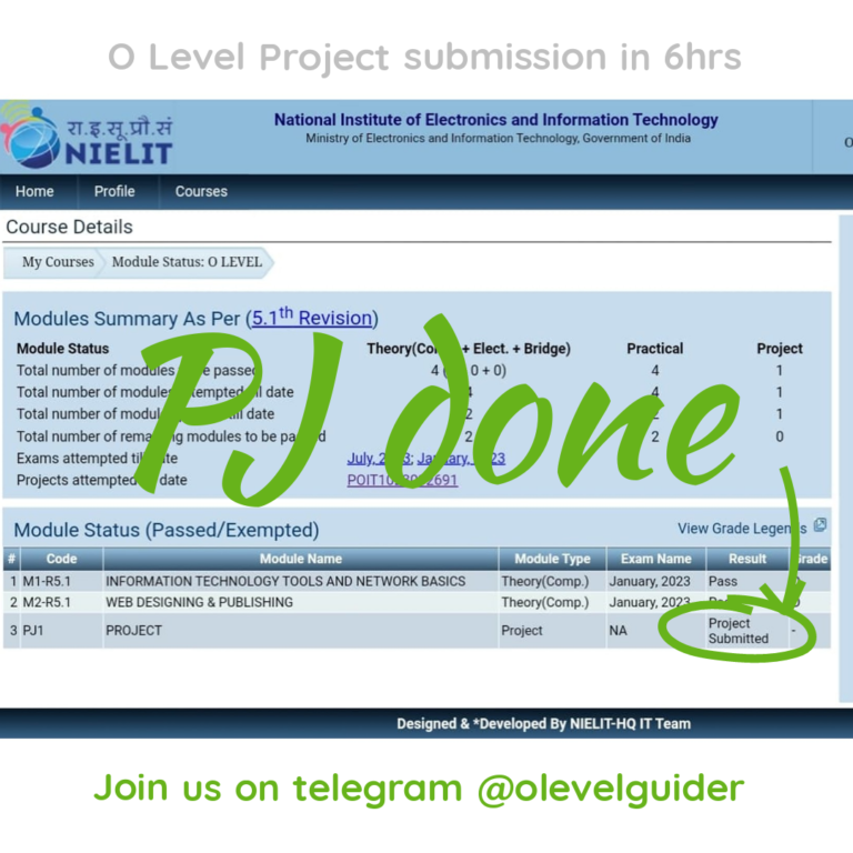 O Level Project Guide: Submission, Topics, and Tips