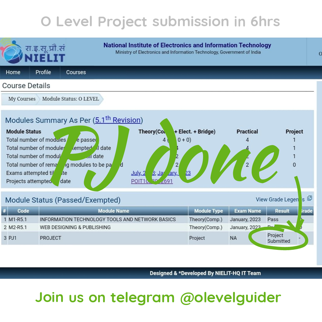 O Level Project Guide: Submission, Topics, and Tips