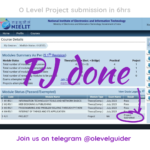 O Level Project Guide: Submission, Topics, and Tips