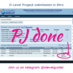 O Level Project Guide: Submission, Topics, and Tips