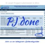 O Level Project Guide: Submission, Topics, and Tips