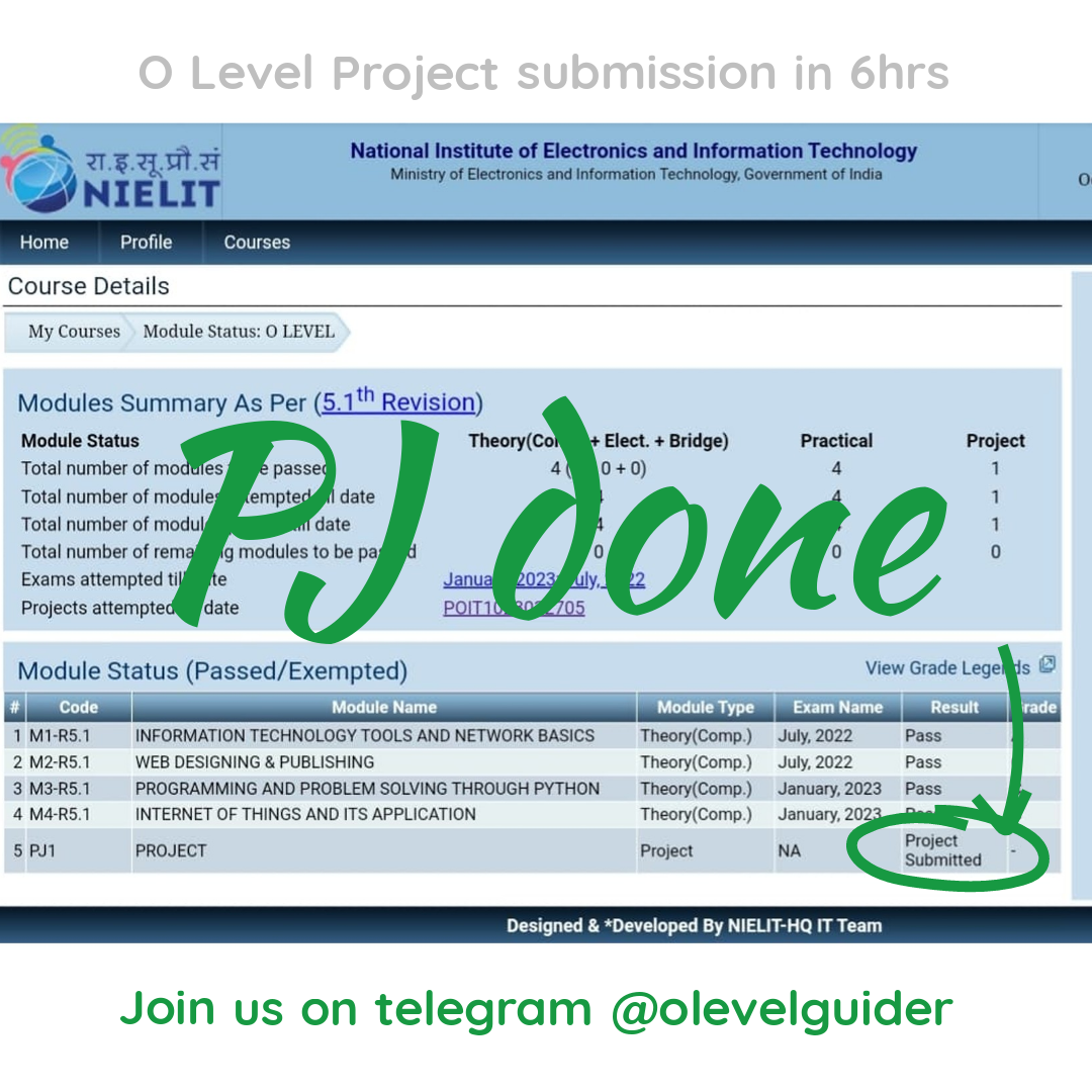 O Level Project Guide: Submission, Topics, and Tips