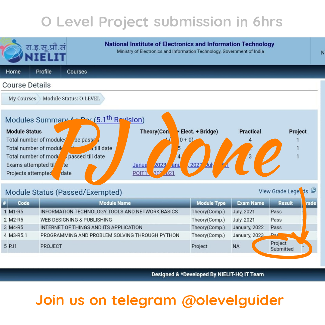 O Level Project Guide: Submission, Topics, and Tips
